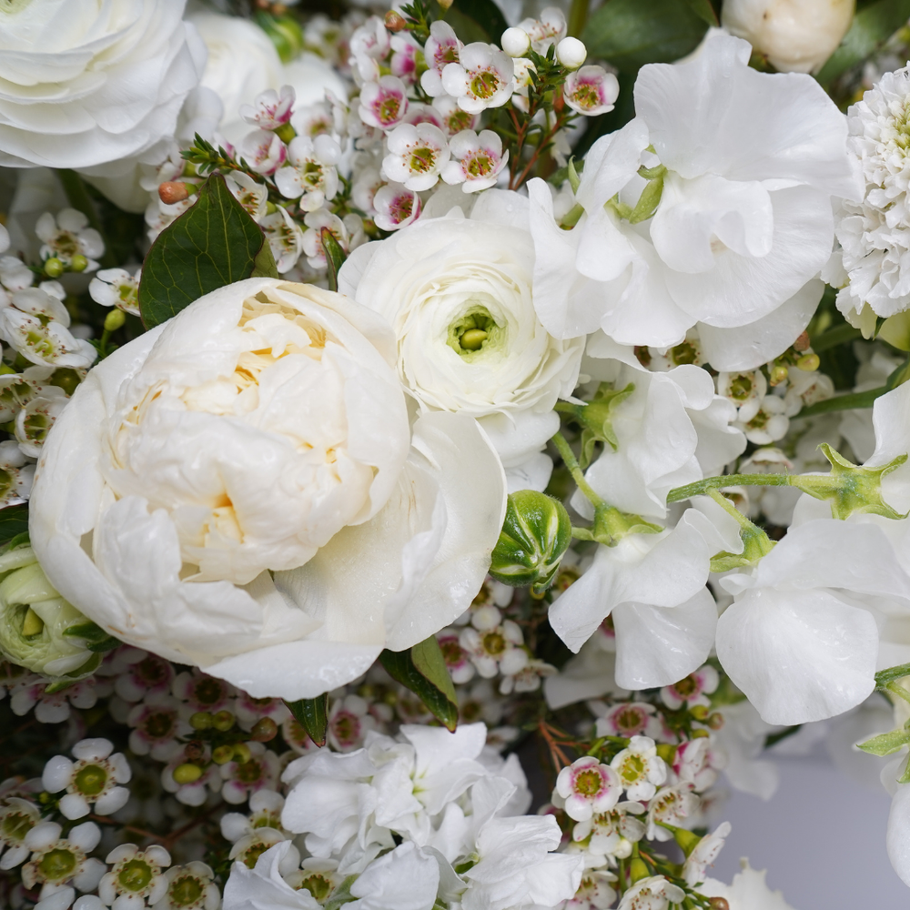 Chalon – ERIC BUTERBAUGH